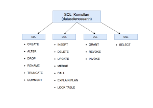 SQL Nedir ? DML, DDL, DCL, DQL Komutları | Kodmatik